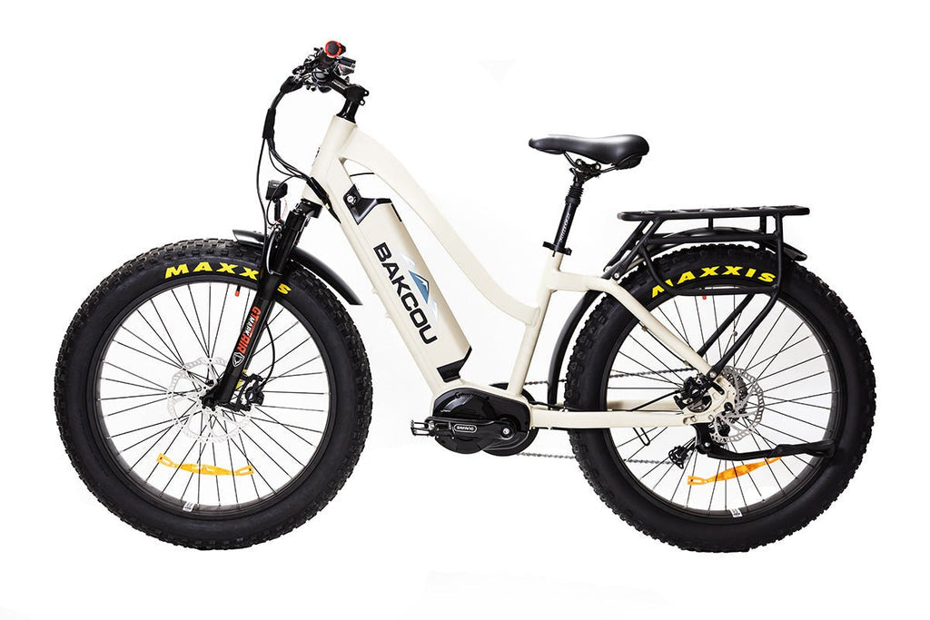Mule electric bike store